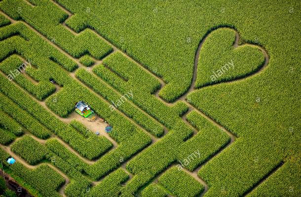 Gin a body meet a body, Comin thro’ the write – michelle rau