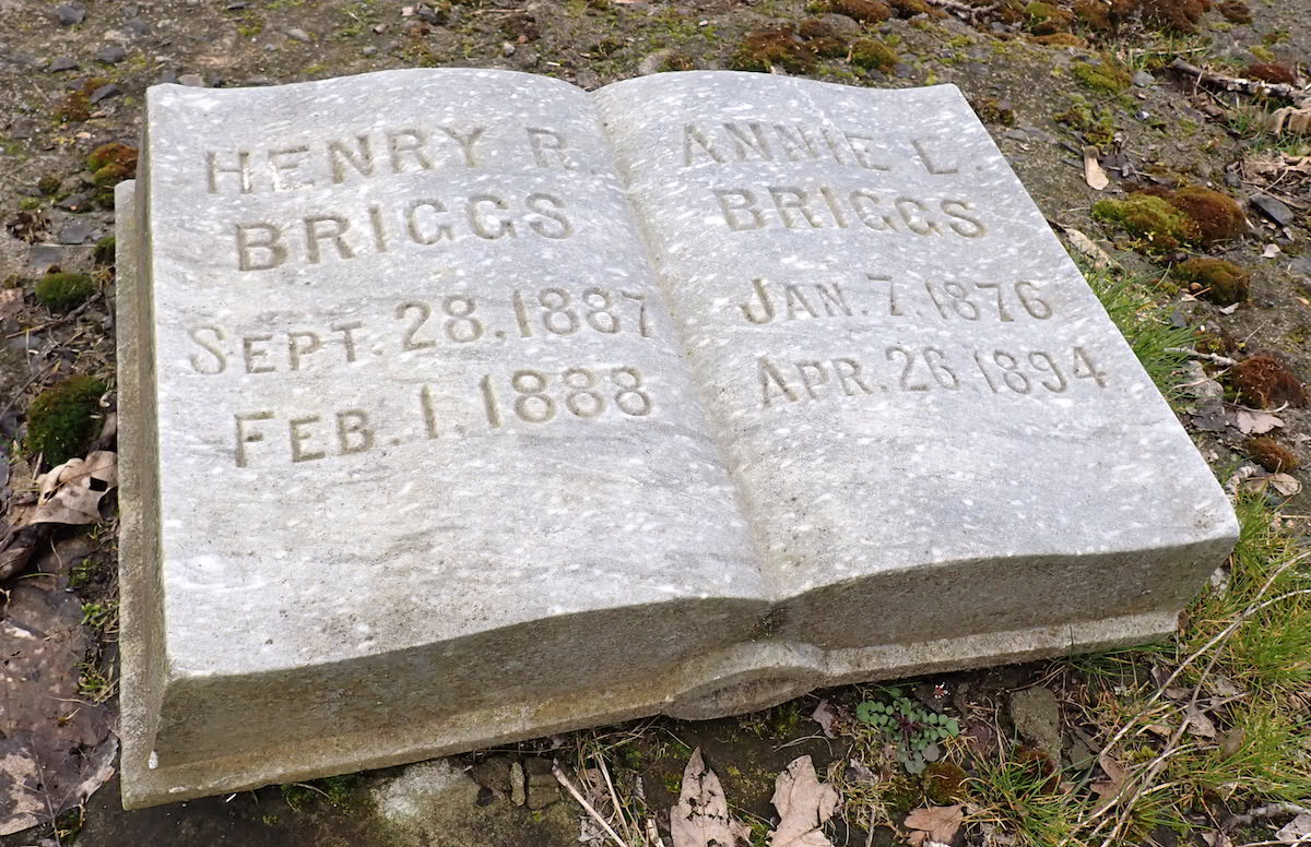 Cemetery research books – michelle rau