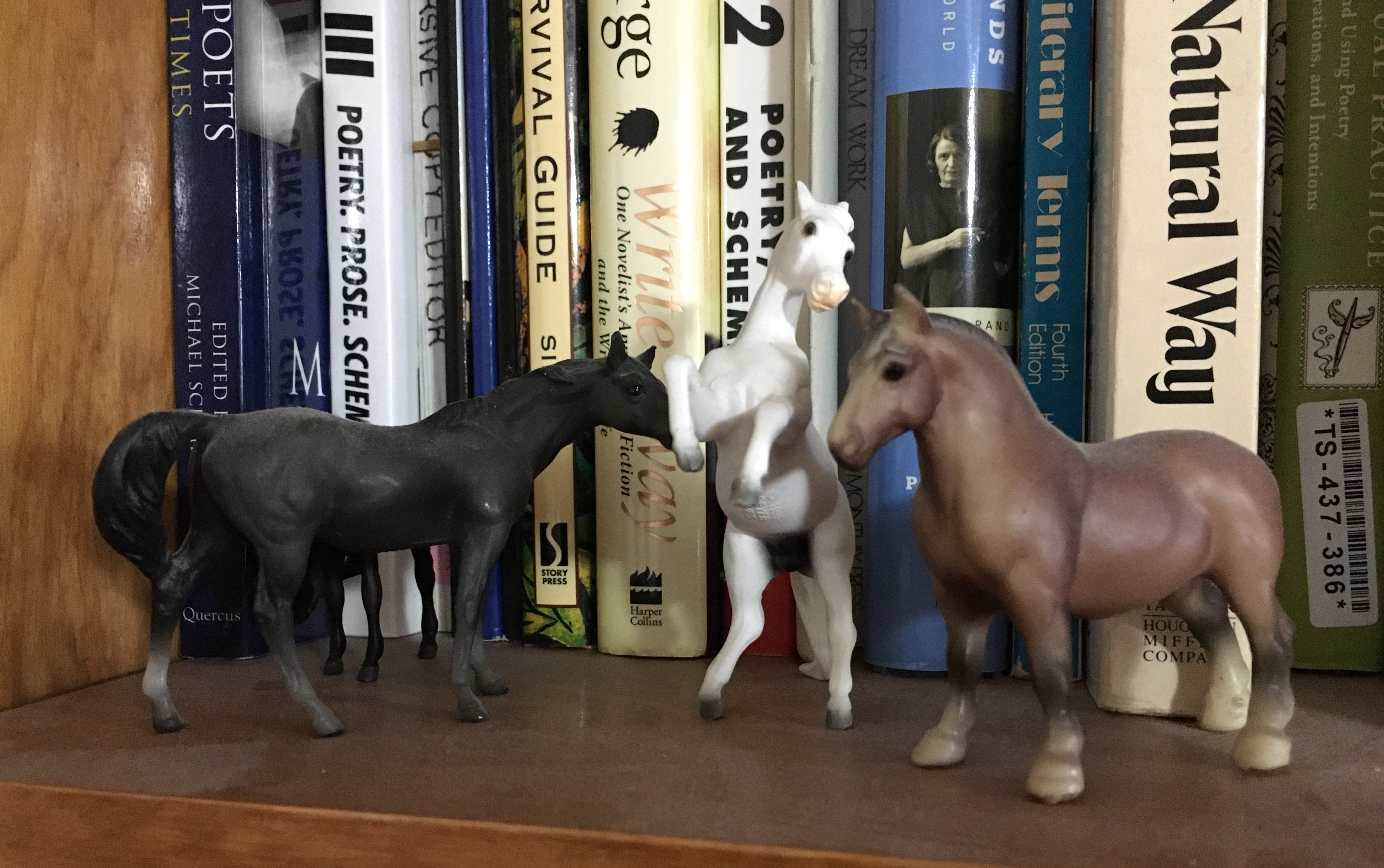 Little horses (Tarot of Michelle) – michelle rau