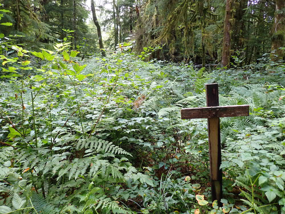 Hamlet Cemetery: One with the forest – michelle rau