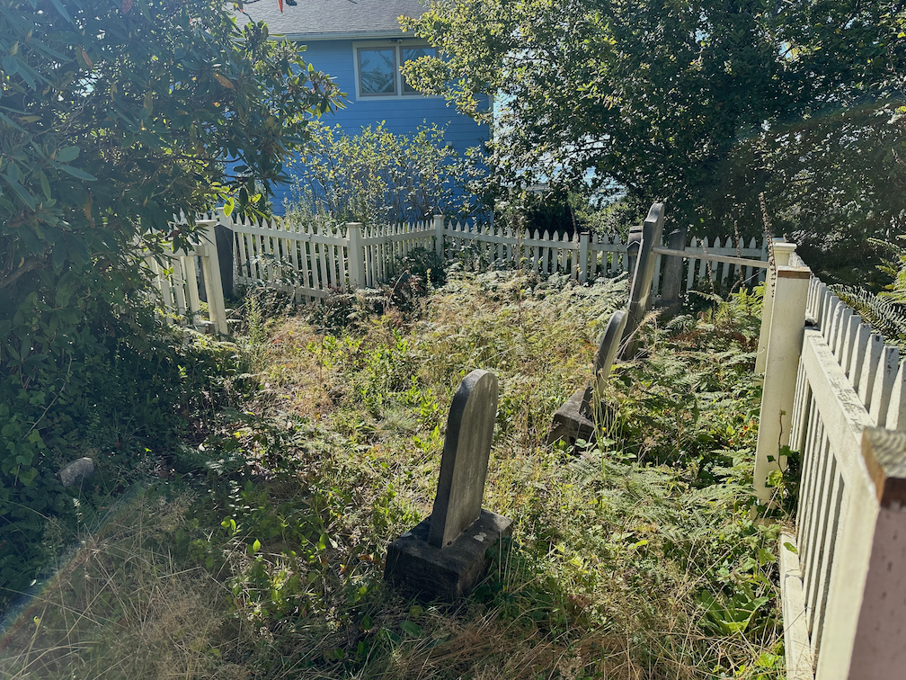 Finding the Whealdon Family Cemetery – michelle rau